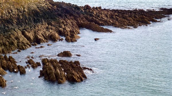 Ballycotton Cliff Walk East Cork Tourism Info B&B Hotels Cork Guide
