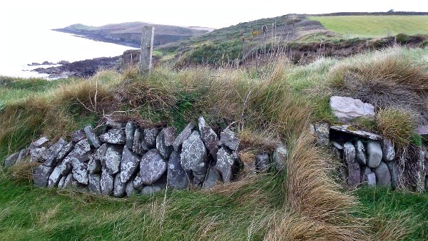 Ballycotton Cliff Walk East Cork Tourism Info B&B Hotels Cork Guide